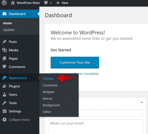 How to Customize WordPress Theme | WordPress Tutorials